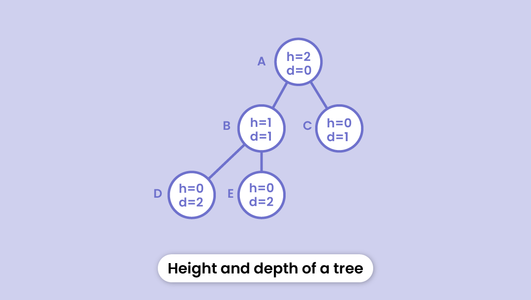 Tree Data Structure - Types, Applications, Operations