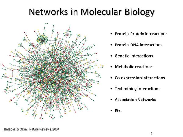 Graph Data Structure - Explained With Examples