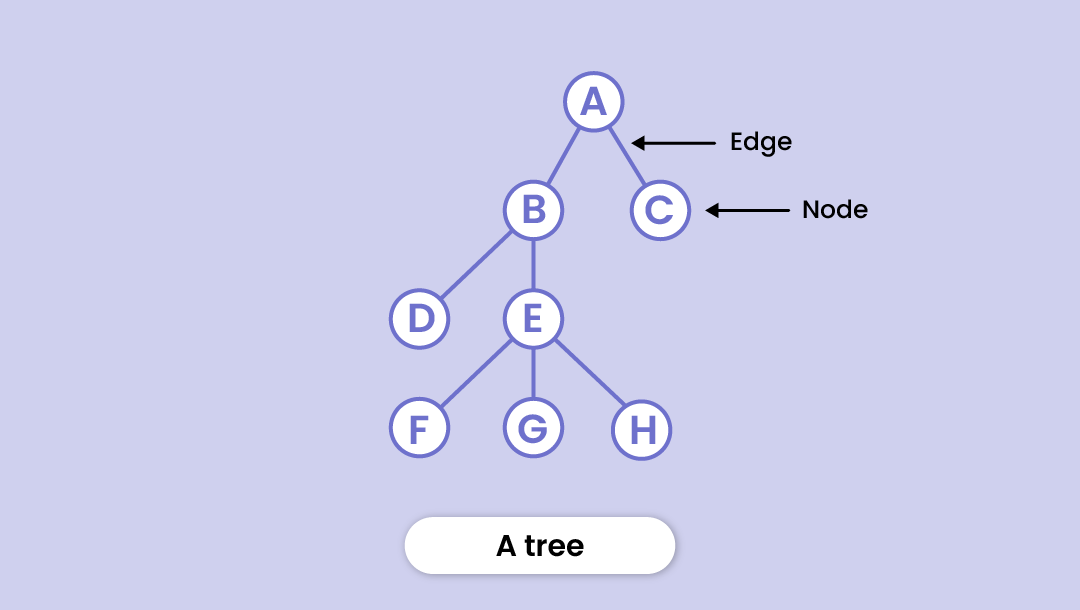 Tree Data Structure - Types, Applications, Operations