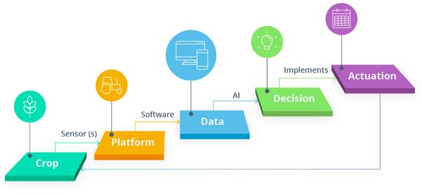 10 Best Project Ideas for Engineering Students